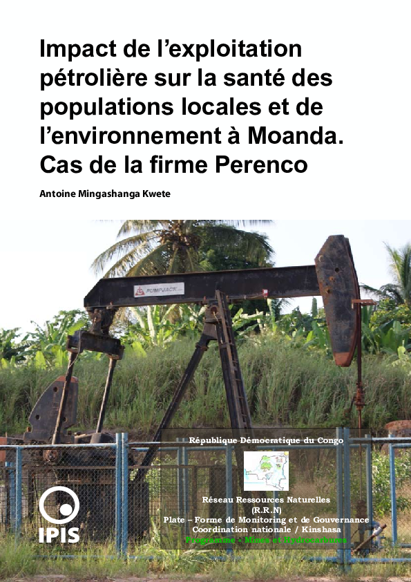 (PDF) Perenco (1)