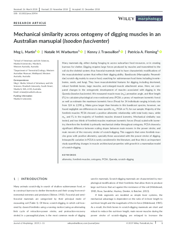 (PDF) Mechanical similarity across ontogeny of digging muscles in an ...