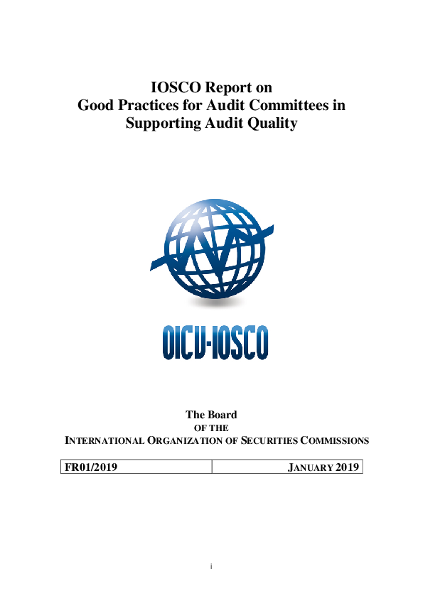 (PDF) Report on Good Practices for Audit Committees in Supporting Audit ...