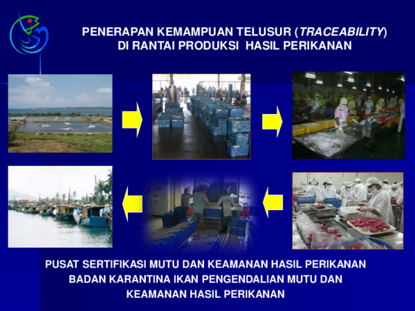 (PPT) TRACEABILITY SYSTEM - BKIPM.ppt