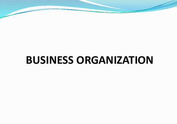 (PPT) Business Organization