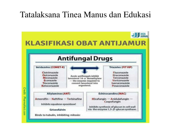 (PPT) Tatalaksana Tinea Manus dan Edukasi