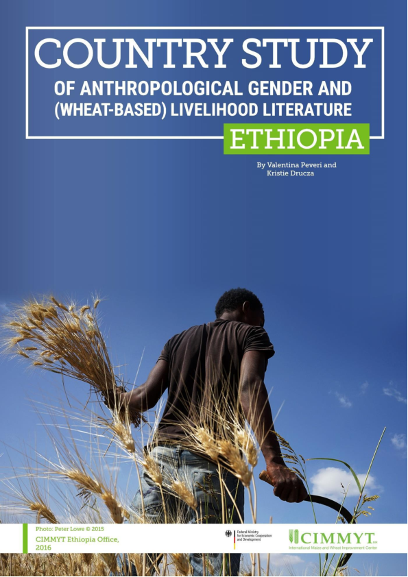 (PDF) Ethiopian Country Study of Anthropological Gender and (Wheat ...