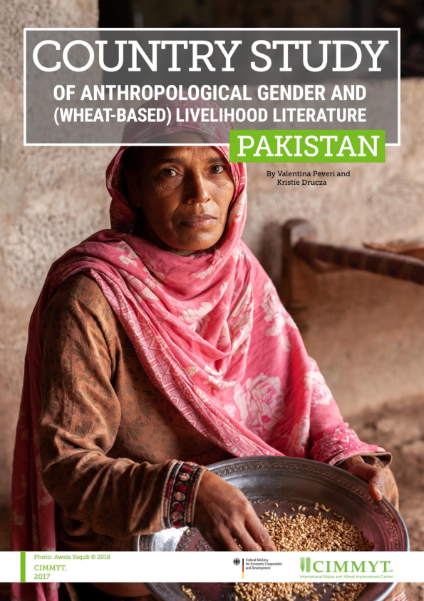 (PDF) Pakistan Country Study of Anthropological Gender and (Wheat-Based ...