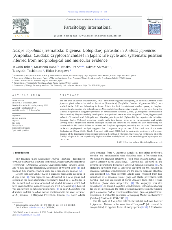 (PDF) Liolope copulans (Trematoda: Digenea: Liolopidae) parasitic in ...