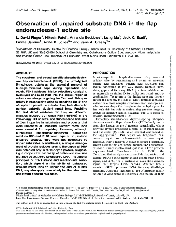 (PDF) Observation of unpaired substrate DNA in the flap endonuclease-1 ...