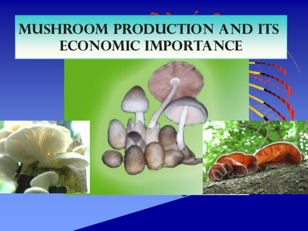 (PPT) Mushroom culture