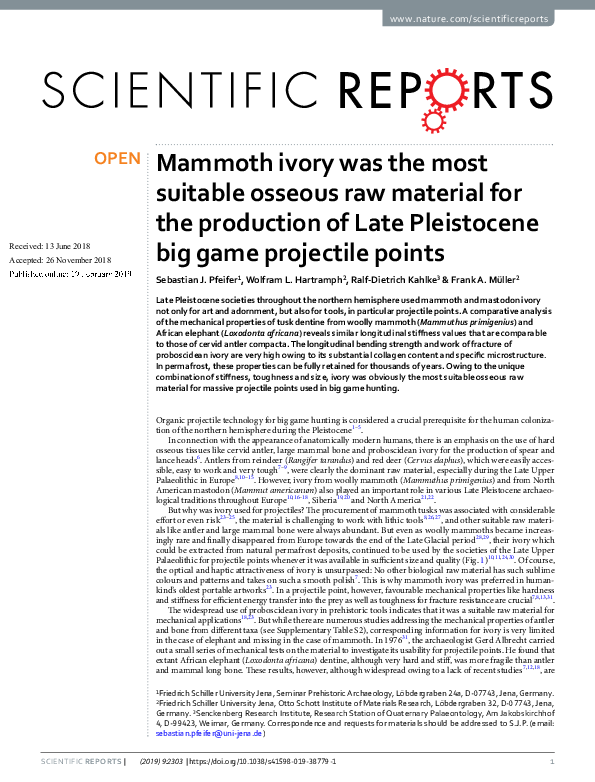 (PDF) Mammoth ivory was the most suitable osseous raw material for the ...