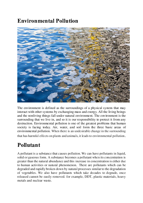 (DOC) Environmental Pollution
