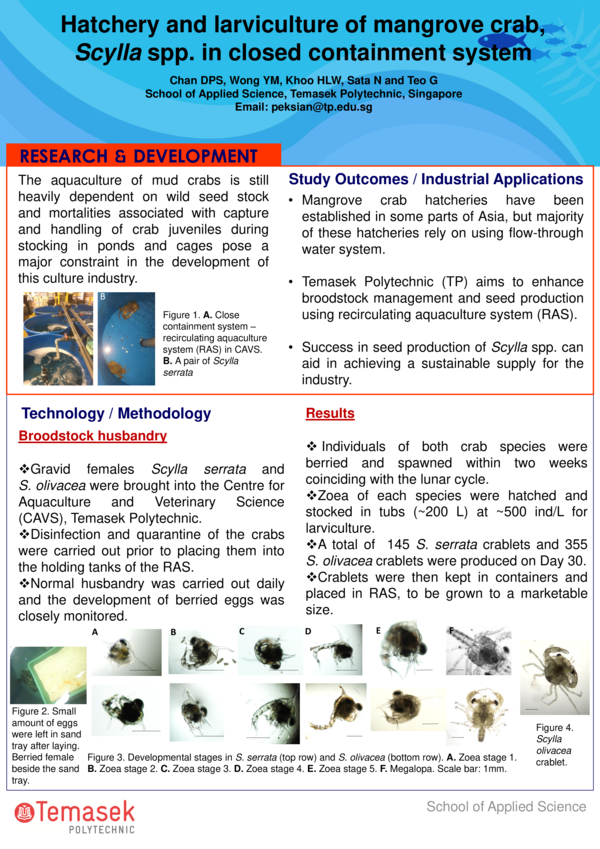 (PDF) Hatchery and larviculture of mangrove crab Scylla spp, in closed ...