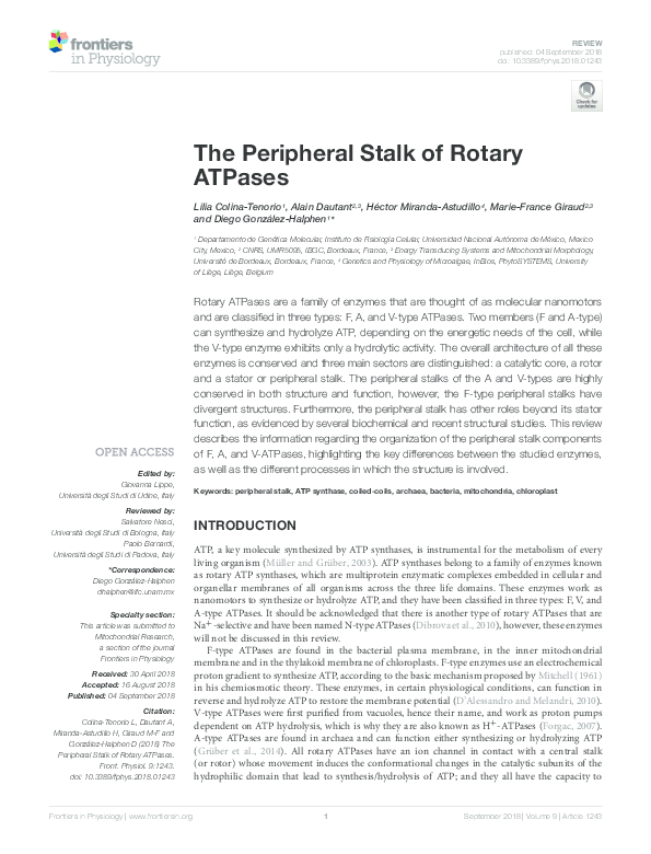 (PDF) The Peripheral Stalk of Rotary ATPases