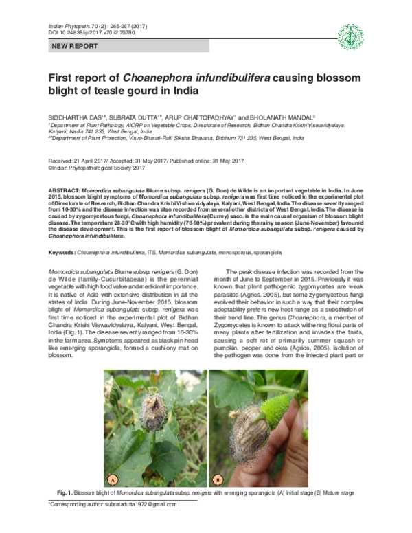 (PDF) First Report of Choanephora infundibulifera Causing Blossom ...