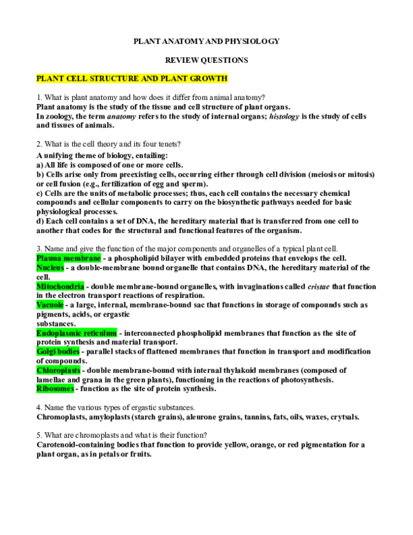 (DOC) PLANT ANATOMY AND PHYSIOLOGY REVIEW