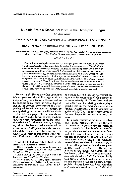 (PDF) Multiple protein kinase activities in the dimorphic fungus Mucor ...