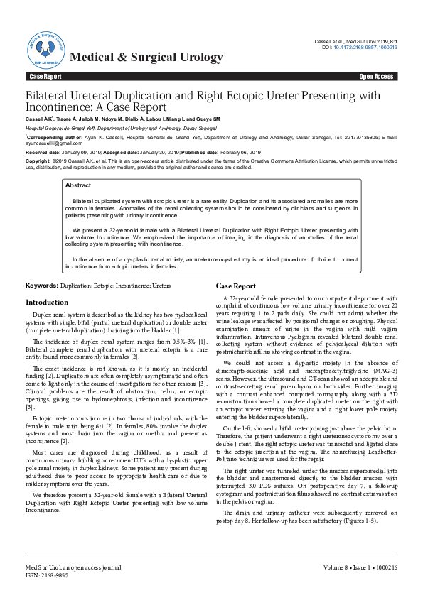 (PDF) bilateral-ureteral-duplication-and-right-ectopic-ureter-presenting-with-incontinence-a ...