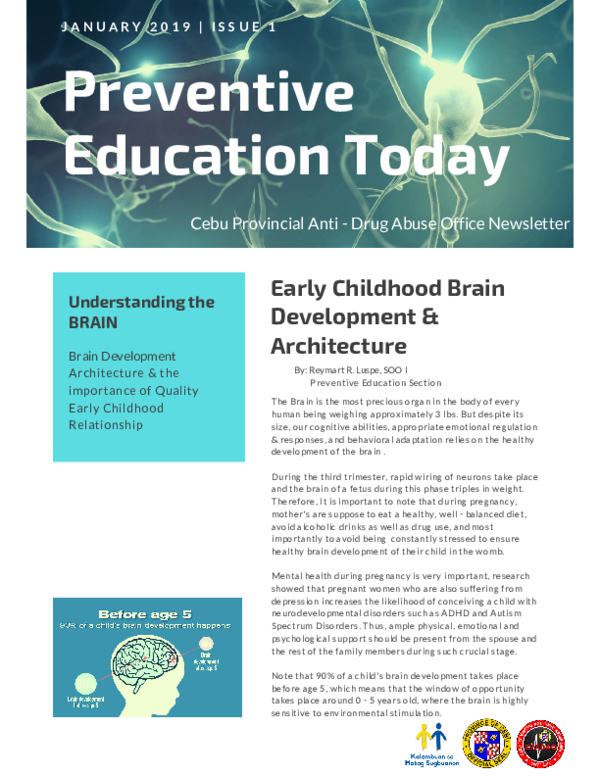 (PDF) Early Childhood Brain Development