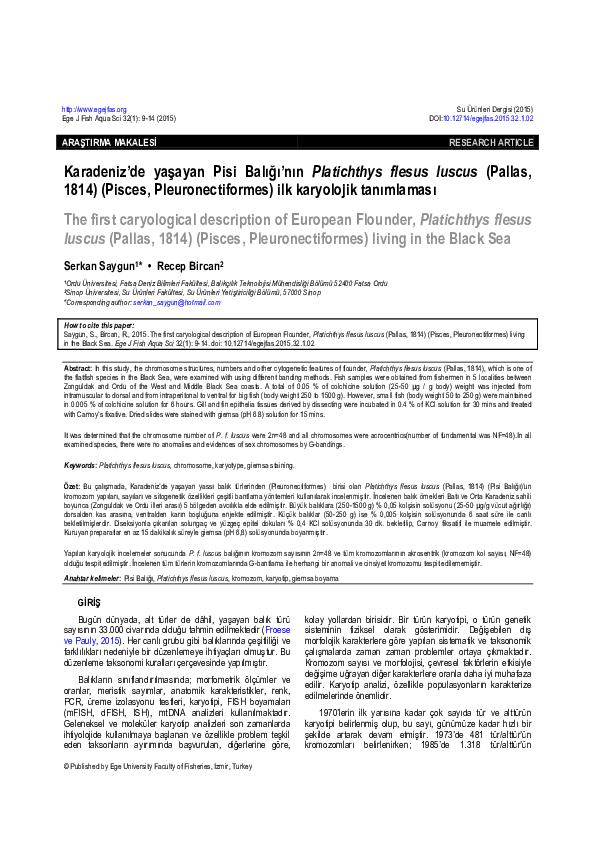 (PDF) The first caryological description of European Flounder ...
