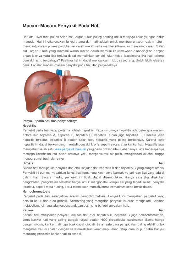 (DOC) Penyakit Hati.docx