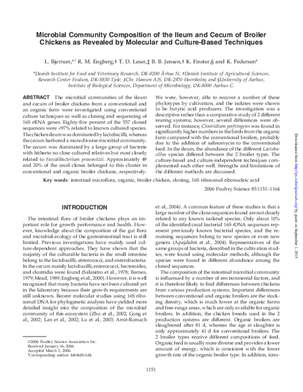 (PDF) Microbial community composition of the ileum and cecum of broiler ...