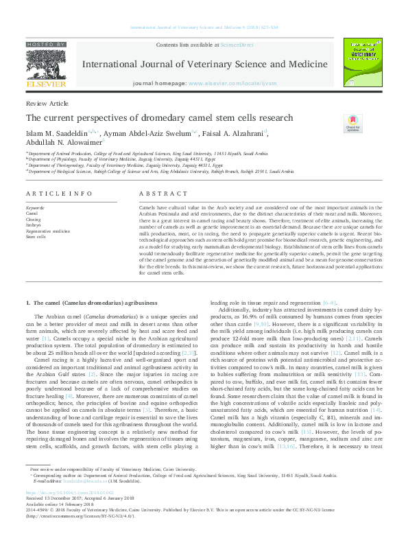 (PDF) The current perspectives of dromedary camel stem cells research.pdf
