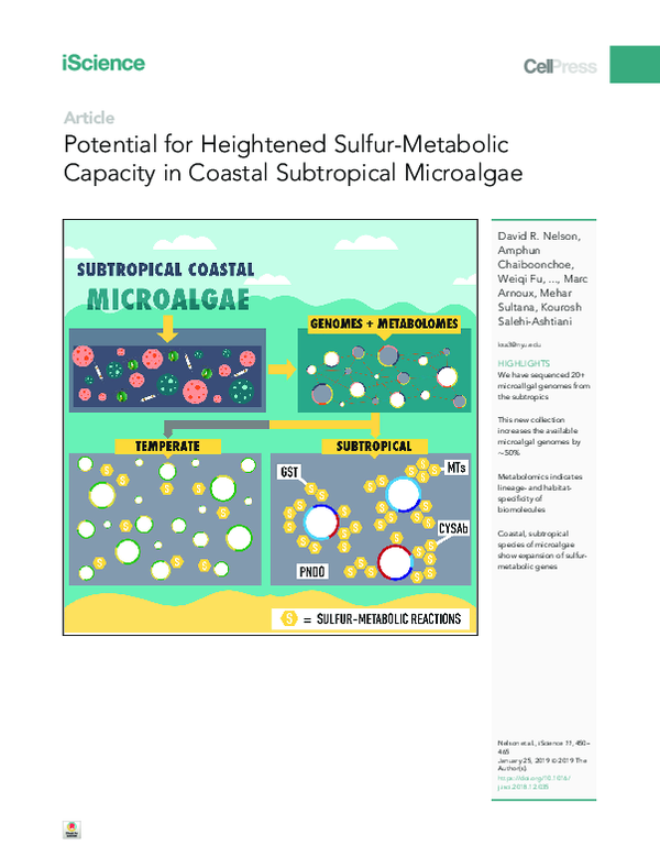 (PDF) Potential for Heightened Sulfur-Metabolic Capacity in Coastal Subtropical Microalgae