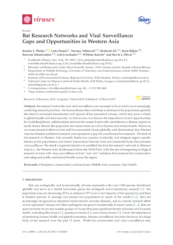(PDF) Bat Research Networks and Viral Surveillance: Gaps and ...
