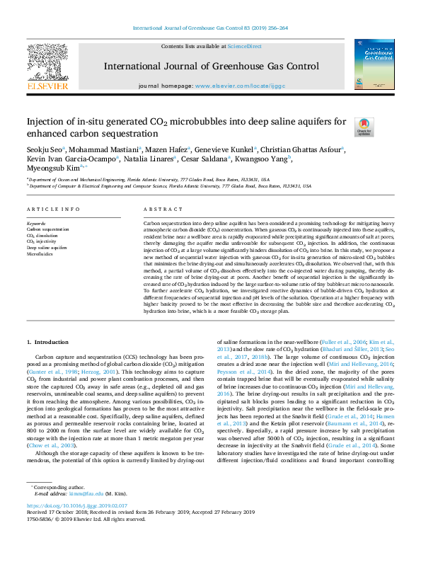 (PDF) Injection of in-situ generated CO 2 microbubbles into deep saline ...