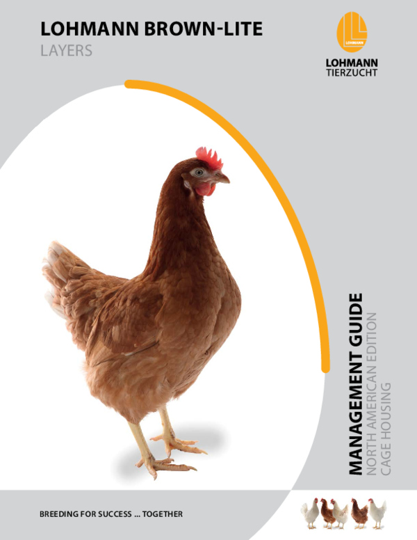 (PDF) LOHMANN BROWN-LITE LAYERS BREEDING FOR SUCCESS ... TOGETHER