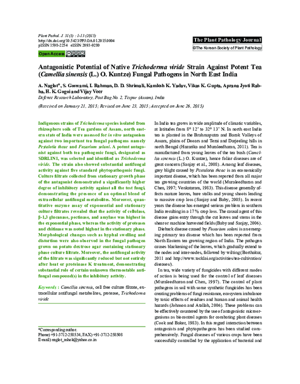 (PDF) Antagonistic Potential of Native Trichoderma viride Strain Against Potent Tea.pdf