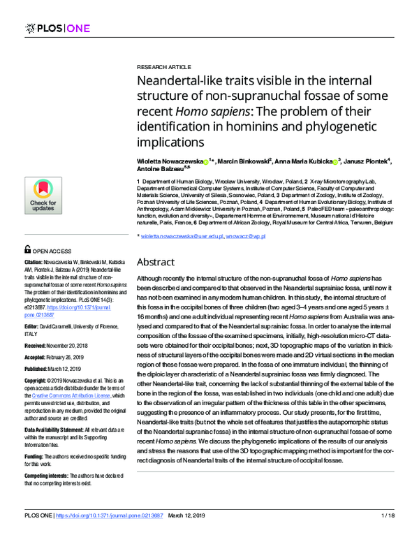 (PDF) Neandertal-like traits visible in the internal structure of non ...