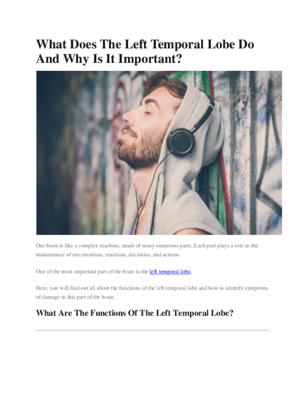 (PDF) What Does The Left Temporal Lobe Do And Why Is It Important? What ...