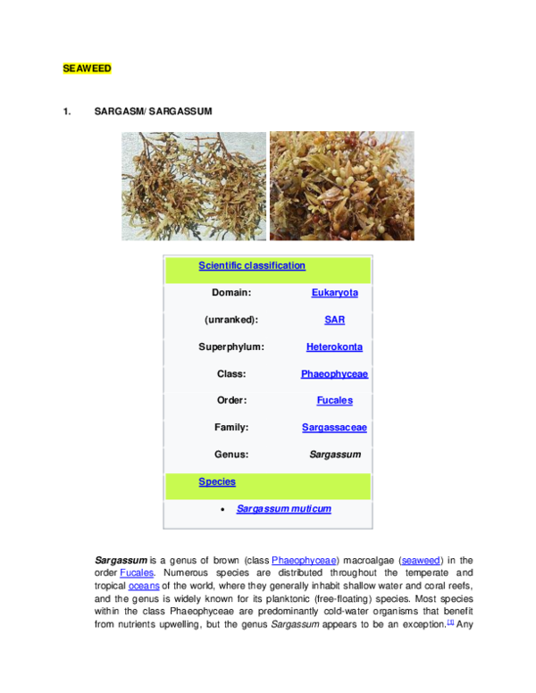 (DOC) SEAWEED