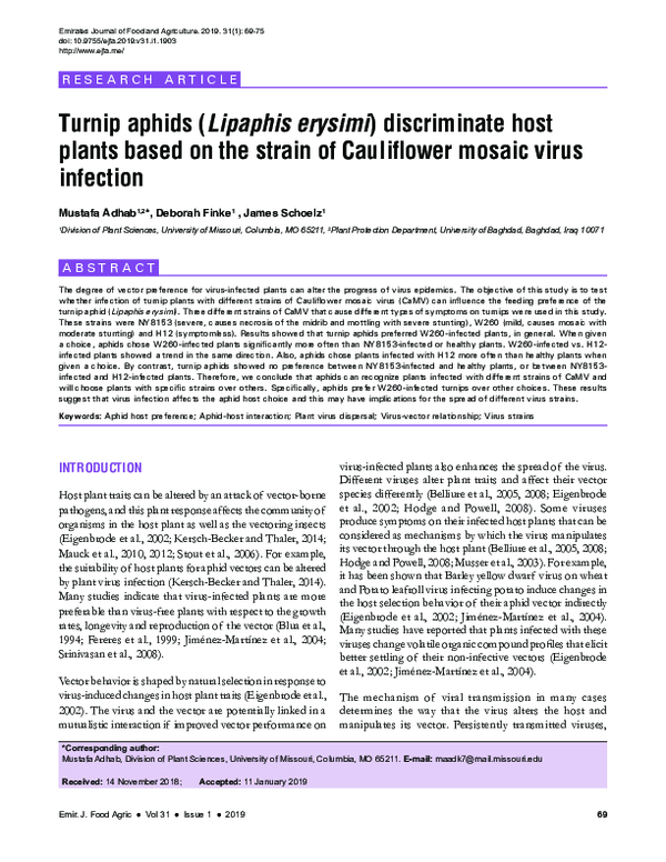(PDF) Turnip aphids (Lipaphis erysimi) discriminate host plants based ...