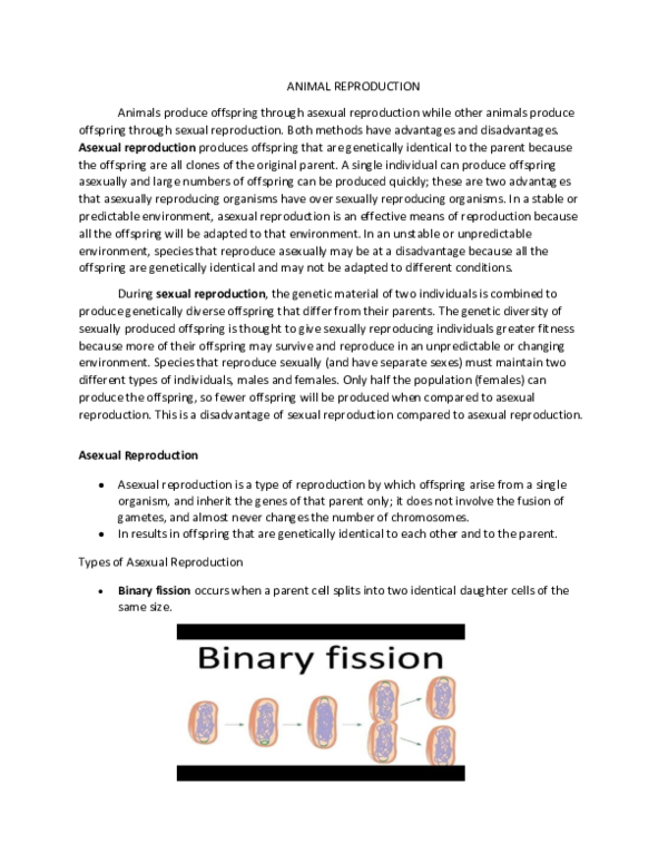 (DOC) ANIMAL REPRODUCTION.docx