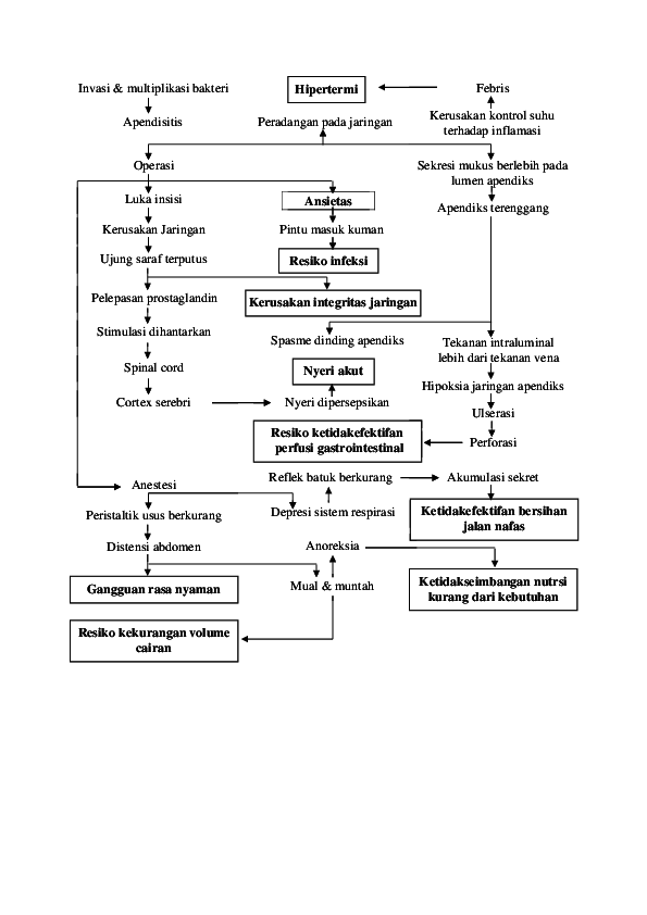 (DOC) Pathway Apendisitis