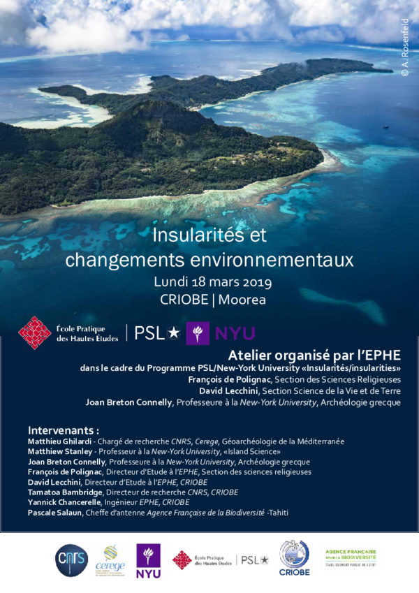 (PDF) Insularités et changements environnementaux