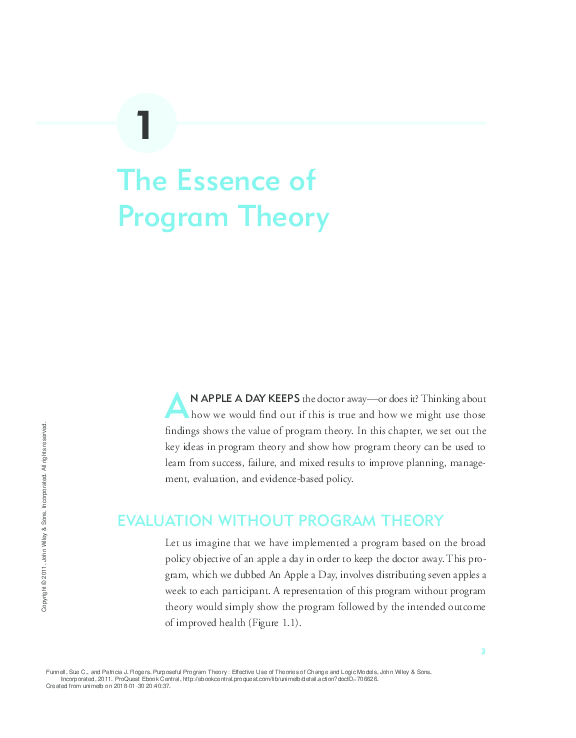 (PDF) The Essence of Program Theory