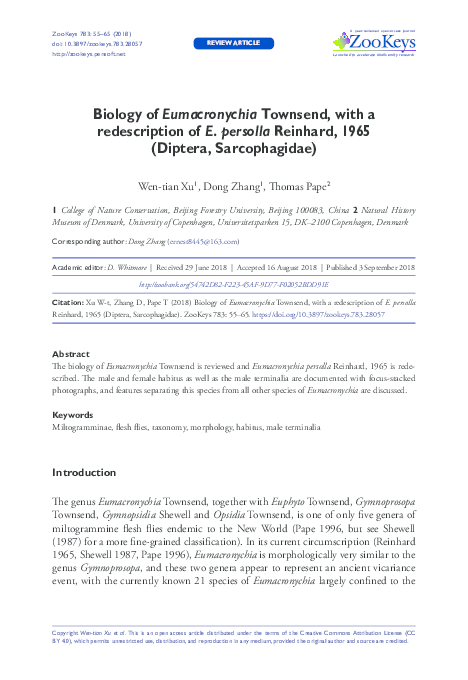(PDF) Biology of Eumacronychia Townsend, with a redescription of E. persolla Reinhard, 1965 ...
