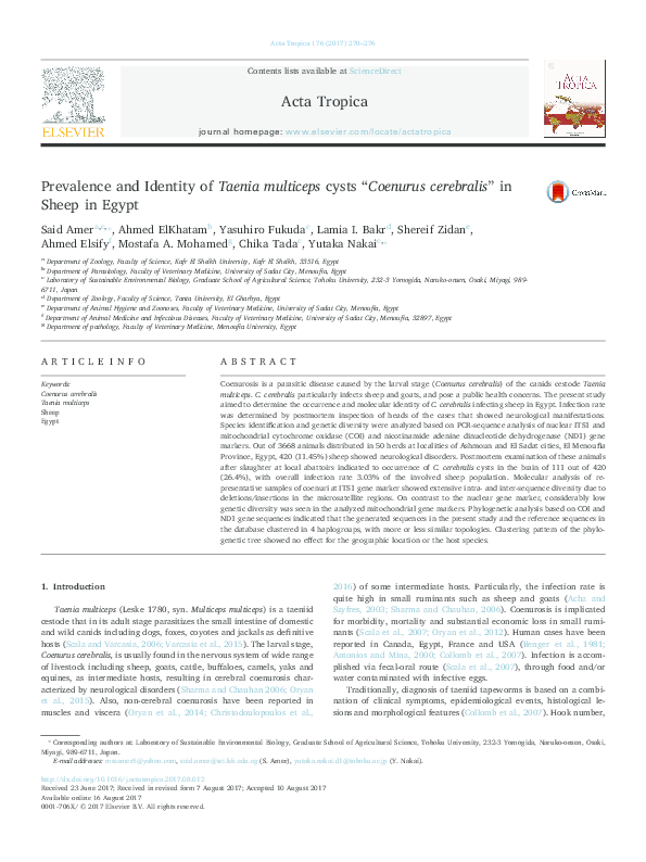 (PDF) Prevalence and Identity of Taenia multiceps cysts "Coenurus ...