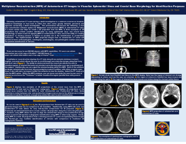 (PDF) Multiplanar Reconstruction (MPR) of Antemortem CT Images to ...