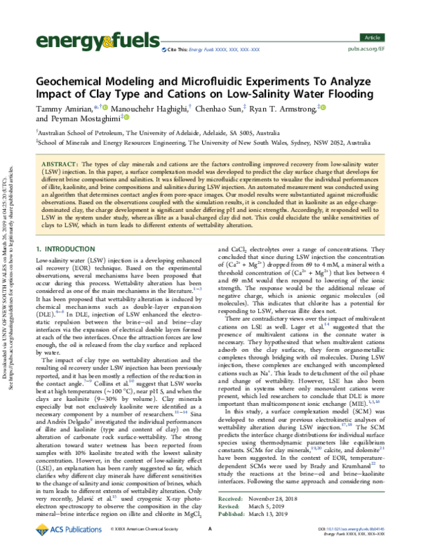 (PDF) Geochemical Modeling and Microfluidic Experiments To Analyze ...