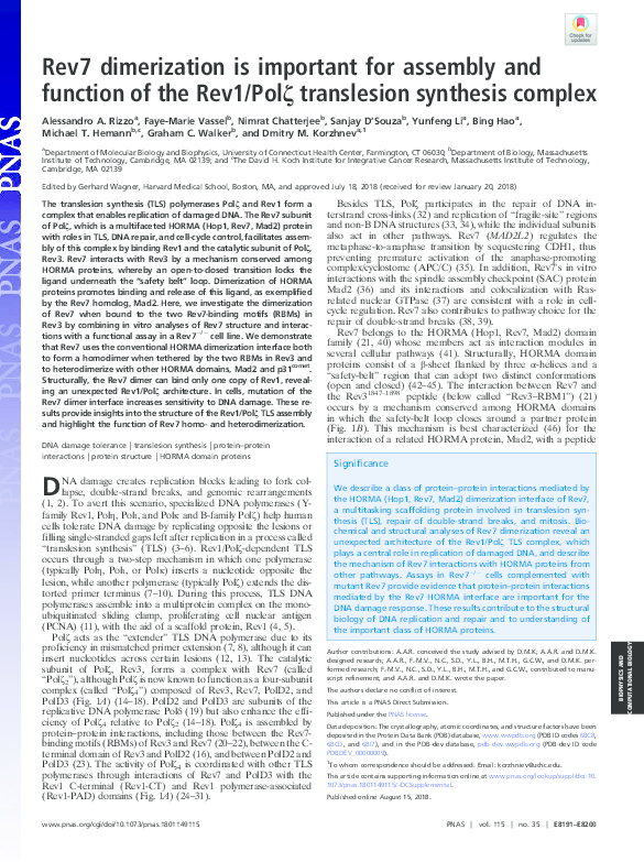 Pdf Rev7 Dimerization Is Important For Assembly And Function Of The