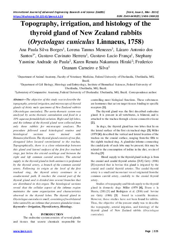 (PDF) Topography, irrigation, and histology of the thyroid gland of New ...