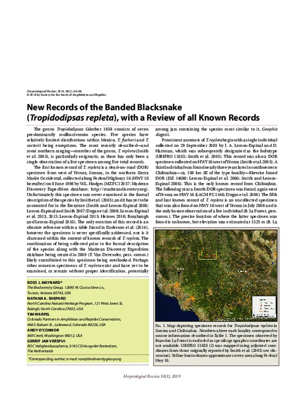(PDF) New Records of the Banded Blacksnake (Tropidodipsas repleta ...