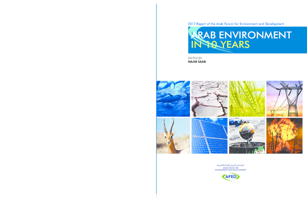 (PDF) Arab Environment in 10 Years | AFED reports and Najib Saab ...