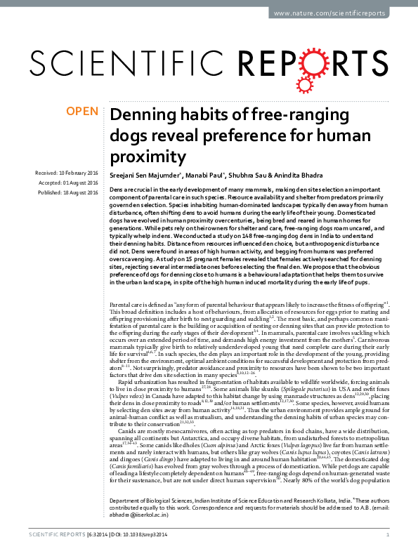 (PDF) Denning habits of free-ranging dogs reveal preference for human ...