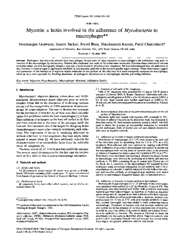 (PDF) Mycotin: A lectin involved in the adherence of Mycobacteria to ...