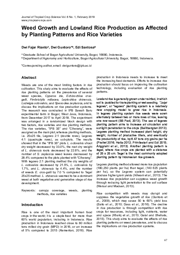 (PDF) Weed Growth and Lowland Rice Production as Affected by Planting ...