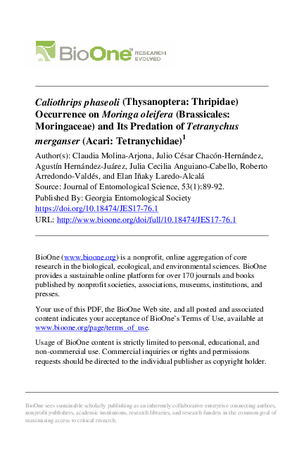 (PDF) Caliothrips phaseoli (Thysanoptera: Thripidae) Occurrence on ...