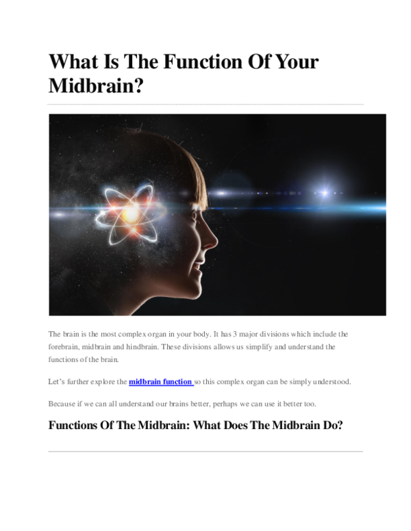 (PDF) What Is The Function Of Your Midbrain? Functions Of The Midbrain ...